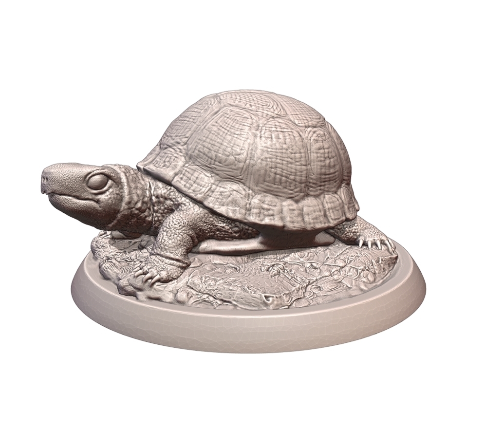 STL file Turtle・3D print model to download・Cults